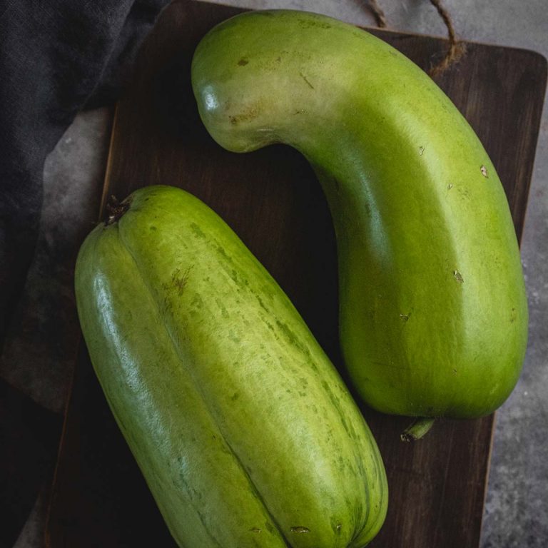 What is Opo Squash + How to Cook It (6 Methods)