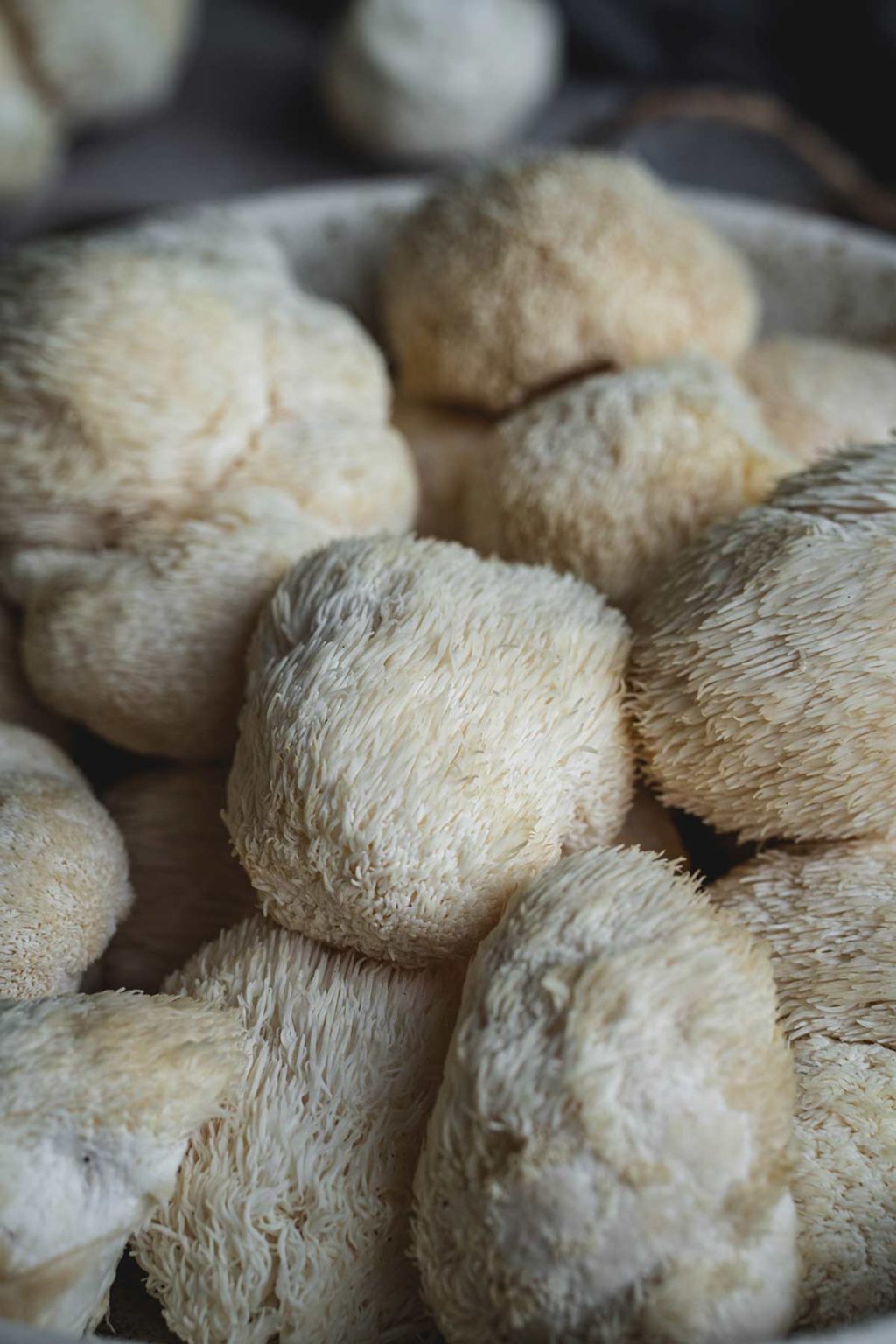 How to Cook Lion's Mane Mushrooms (5 Methods)