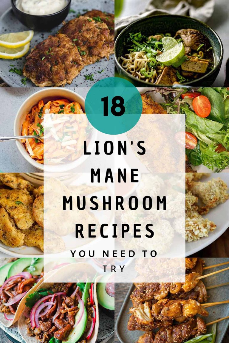 18 Lion's Mane Mushroom Recipes You Need To Try